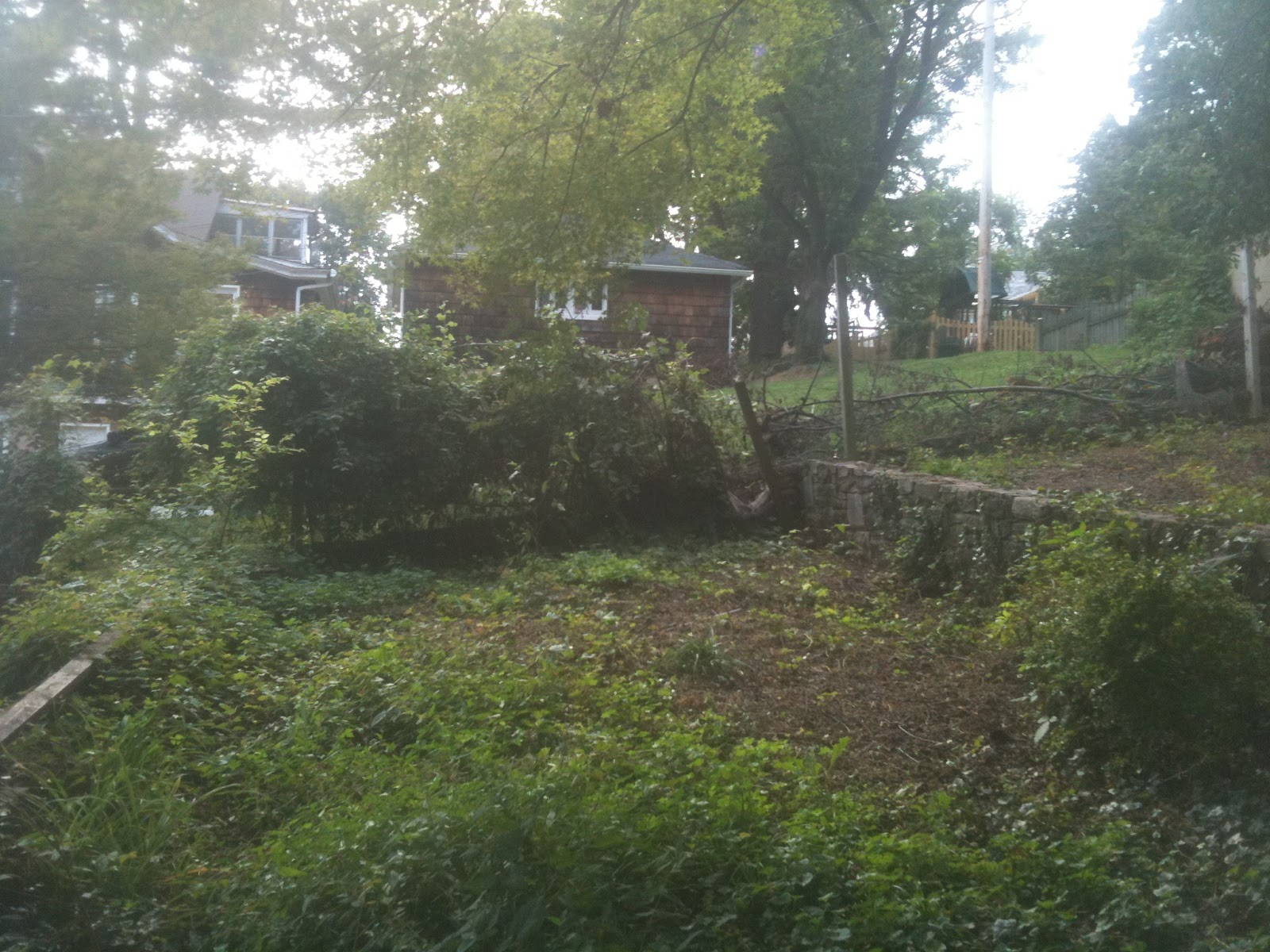 Seven Winds LLC: Terraces become Garden "Rooms": Using the garden's ...