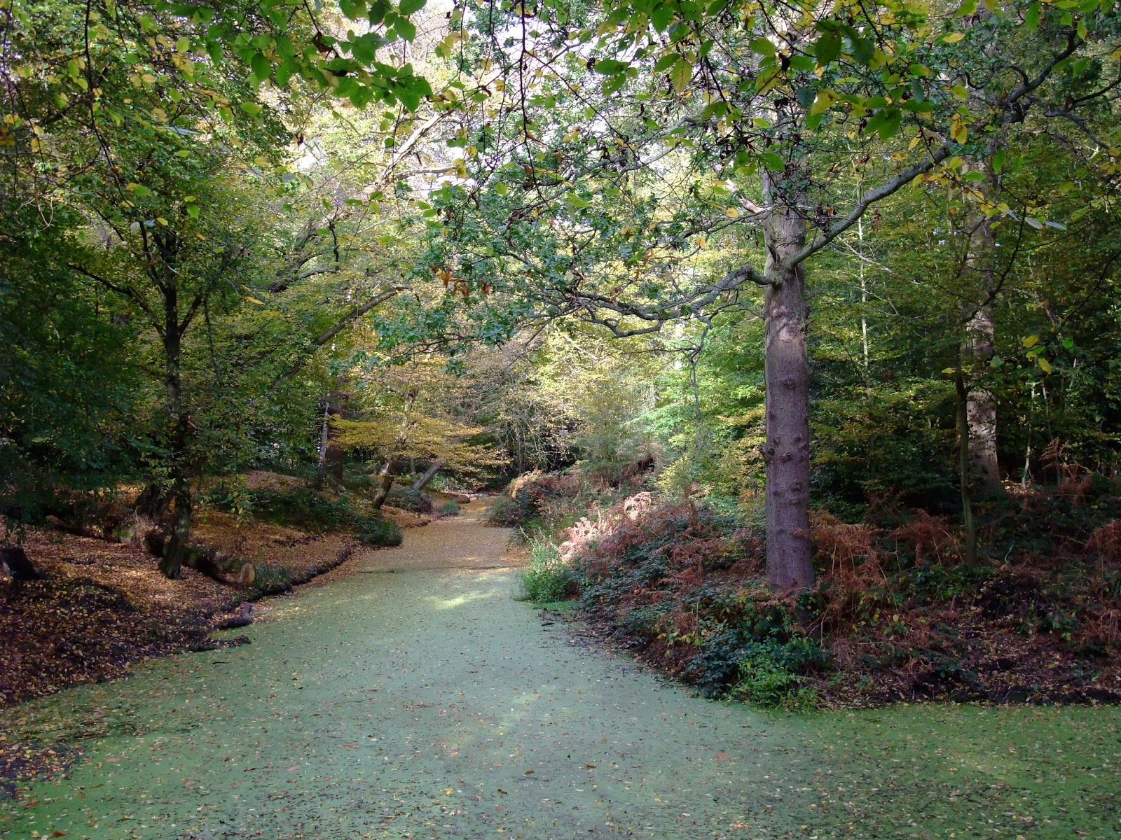 London Fortean Society: Fortean London: Camlet Moat and the Crouch End ...