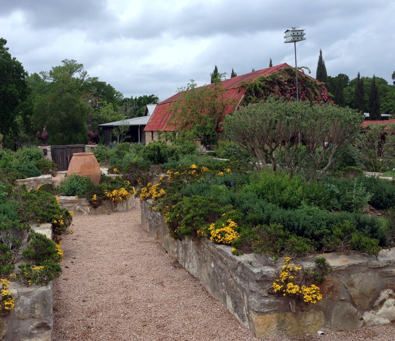 Spring in the Texas Hill Country - HYACINTHS FOR THE SOUL