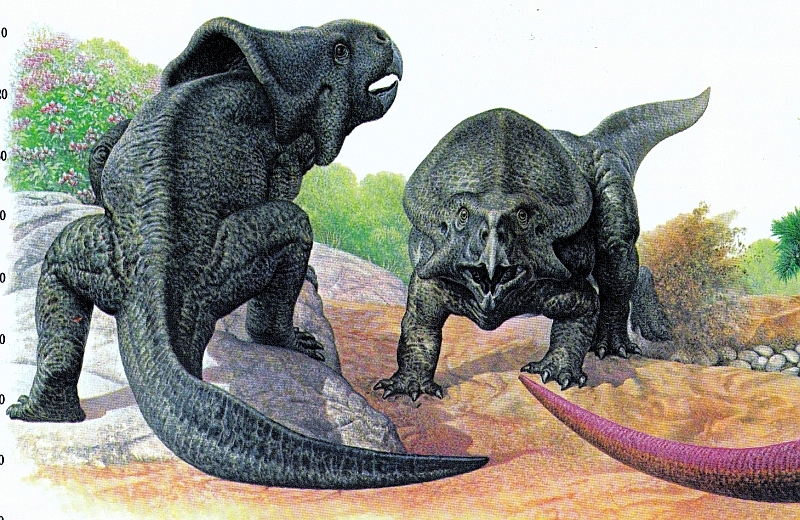 Love in the Time of Chasmosaurs: Vintage Dinosaur Art: The Illustrated ...