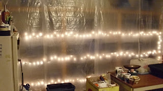 Worm Fancy -- Sacramento area's worms and worm castings