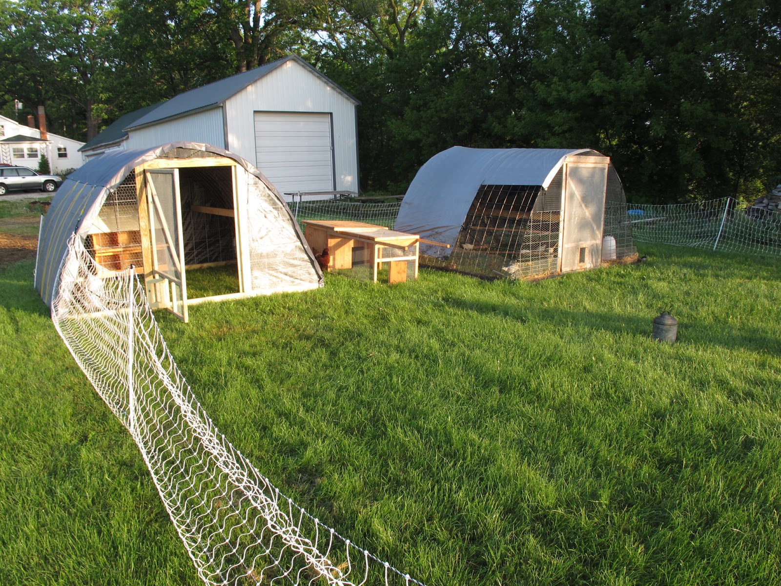 Joe's Garden Journal: Food Forest/Chicken Paddock Update 6/11/13