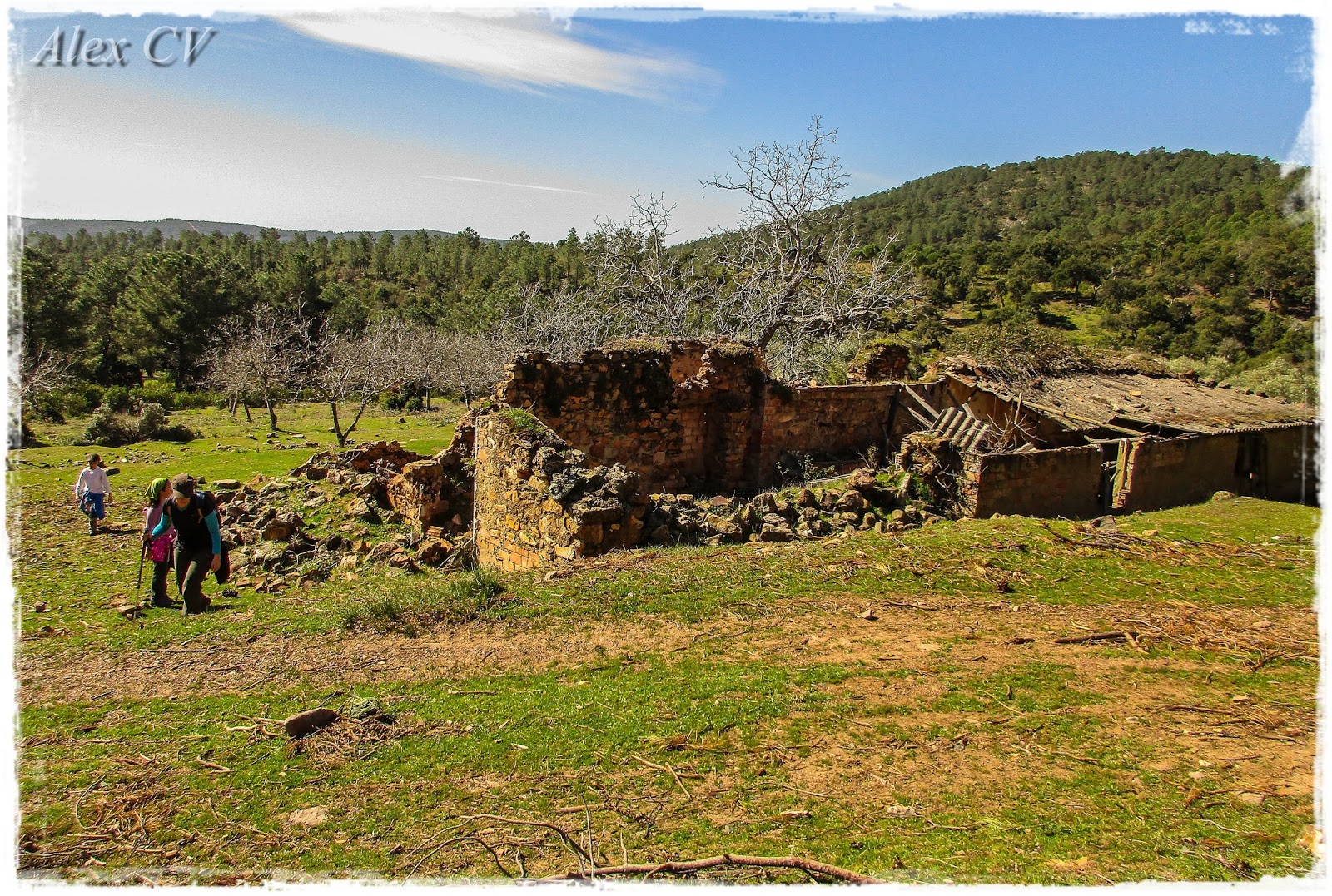 POR LOS CERROS DE ÚBEDA: CIRCULAR MIRANDA DEL REY, CASA DEL HORNILLO ...