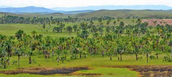 Conoce Venezuela Sin Limites