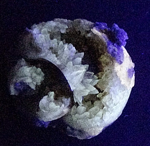 The Treasure Beaches Report Direct From Florida's Treasure Coast.: 5/28 ...