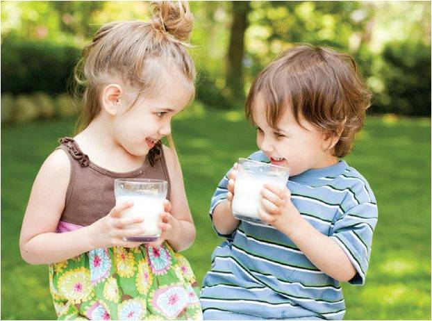 Stolle Series : Stolle Skim Milk Powder