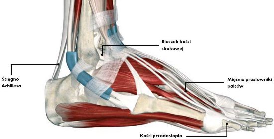 Kontuzje małe i duże: Urazy stopy