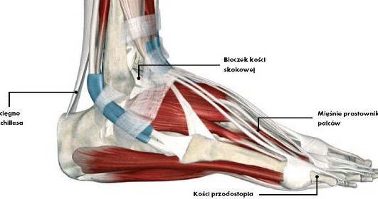 Kontuzje małe i duże: Urazy stopy