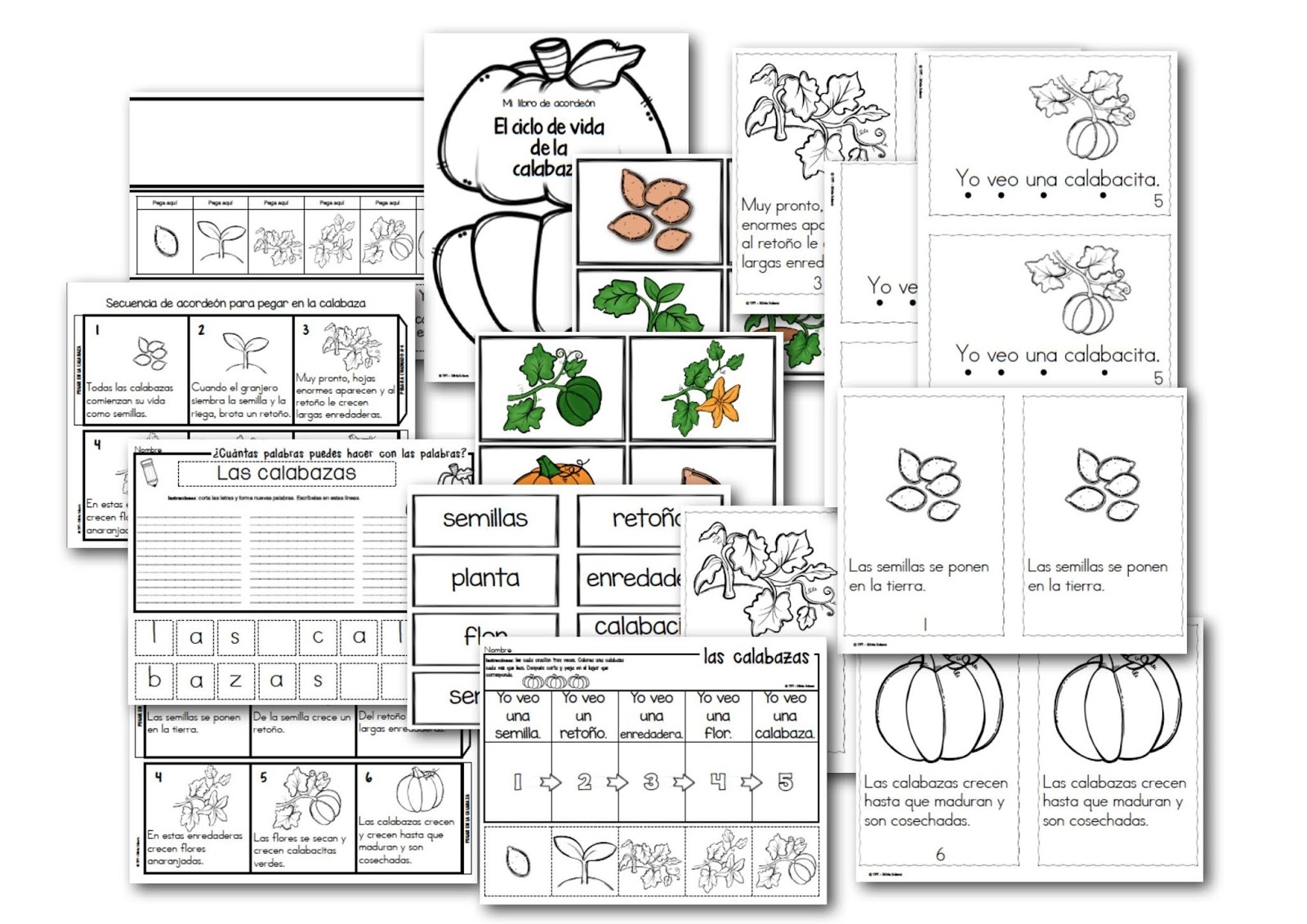 El salón de Silvia Schavz