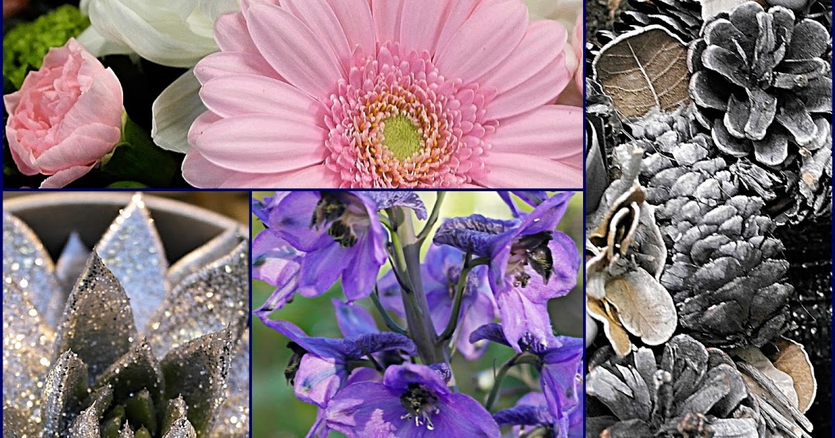 Floral Passions: Color Collage