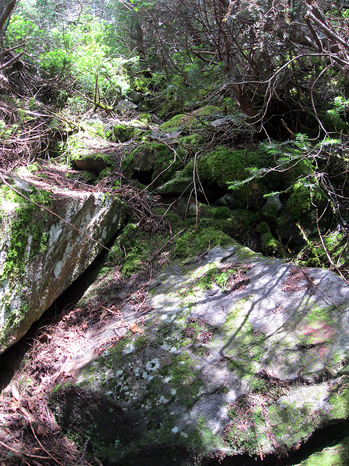 Hiking in the White Mountains: The Abandoned Adams Slide Trail