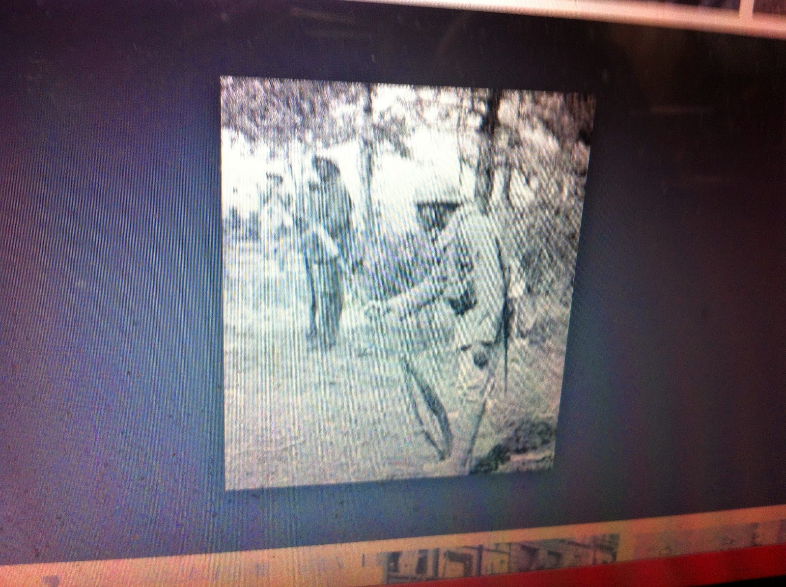 THE BLACK SOCIAL HISTORY:: BLACK SOCIAL HISTORY : THE 369th INFANTRY ...