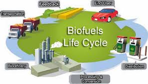 KimintekHijau.com: Energi Terbarukan "Biofuel"