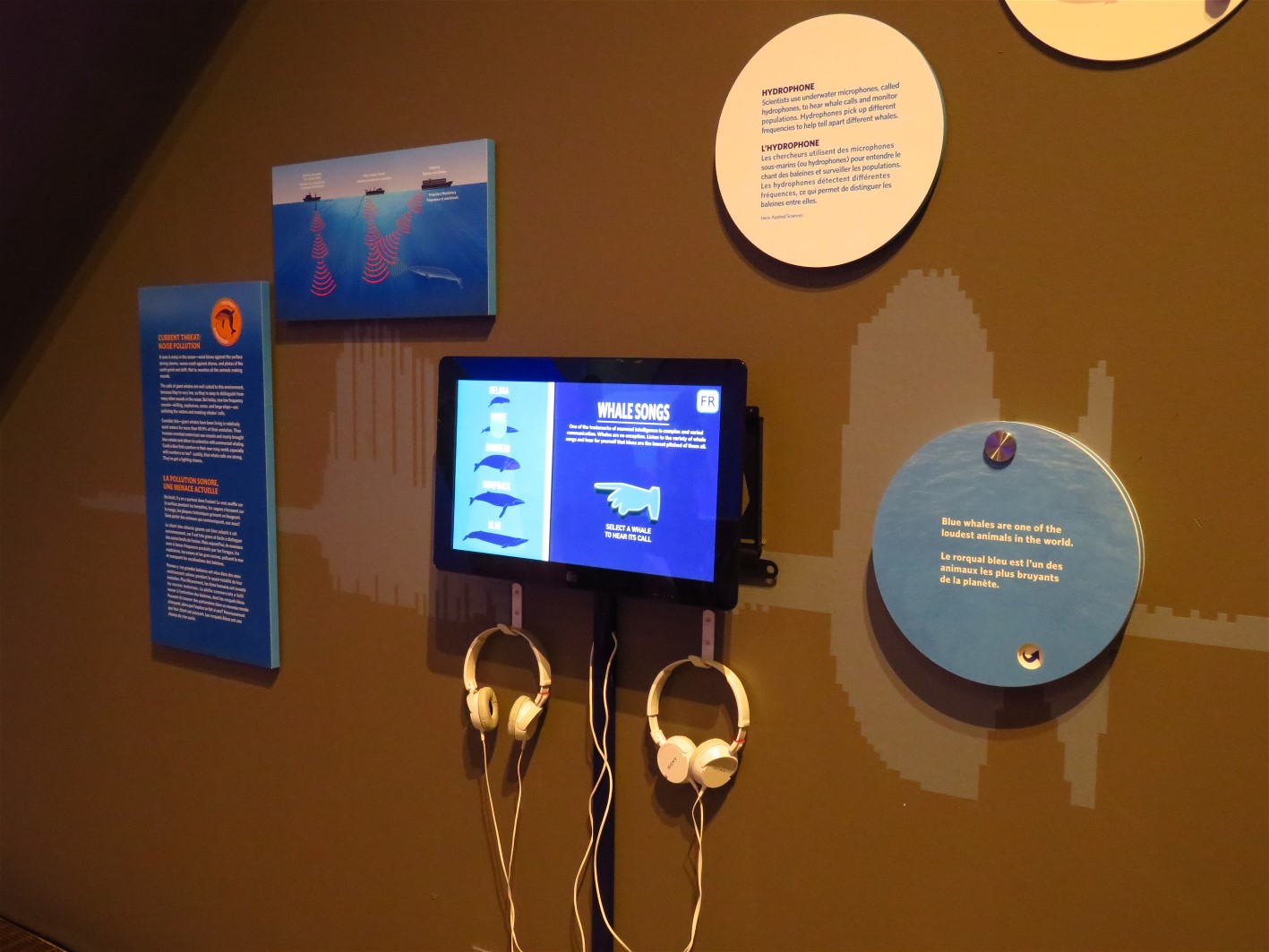 The World of Gord: Out of the Depths, The Blue Whale Exhibit at the ROM