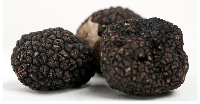 Cultura com Trufas: Trufas