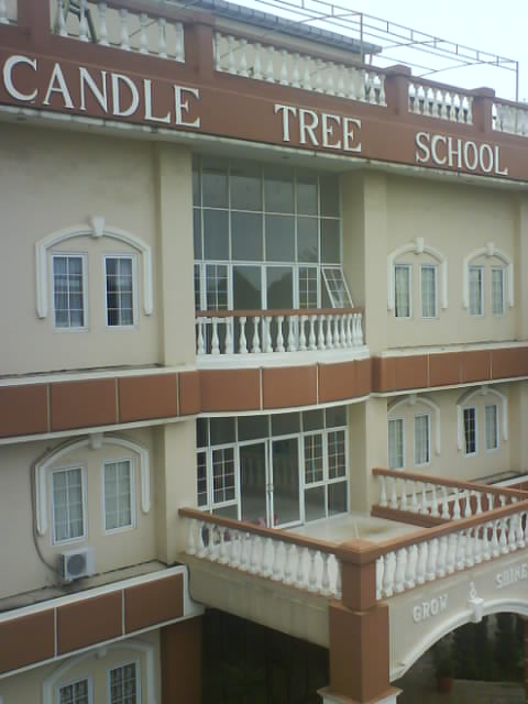 Profile Candle Tree School