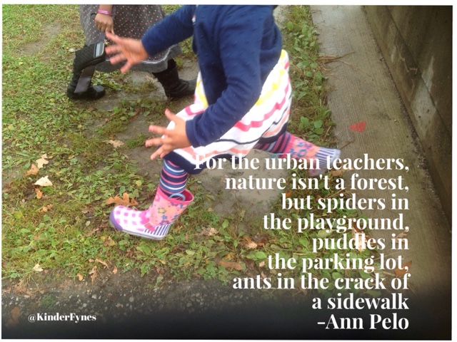this kindergarten life: what a puddle taught us