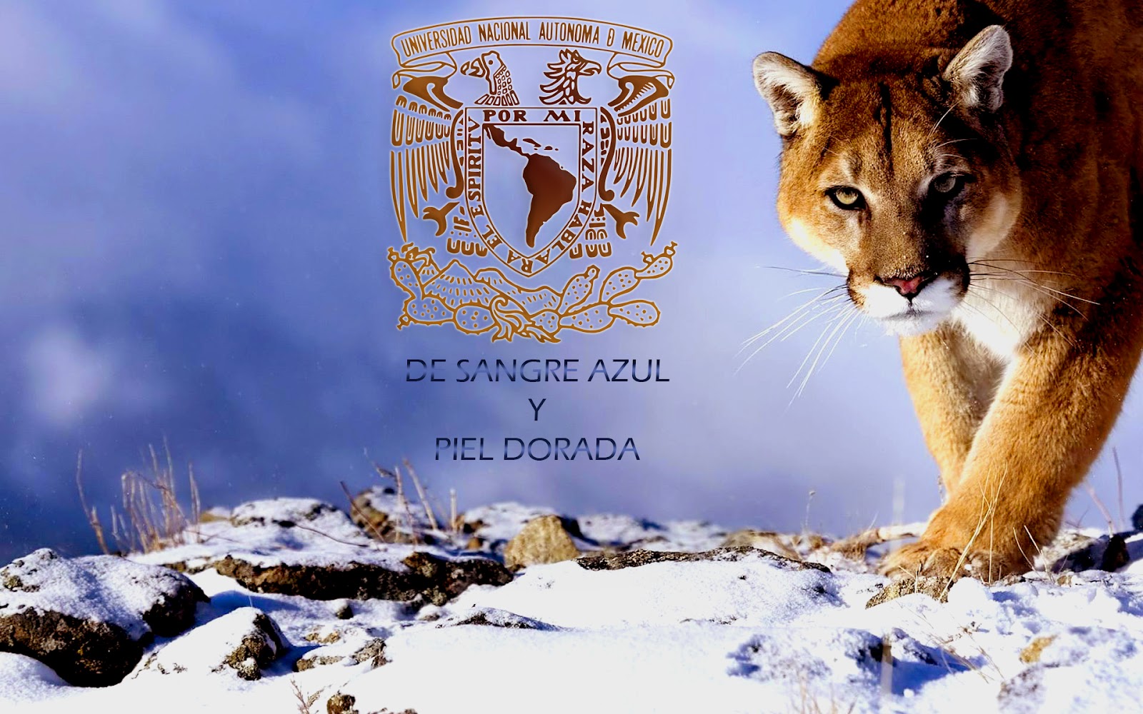 JAGUAR AZUL y la Greca Escalonada: UNAM, Orgullosamente Auriazul