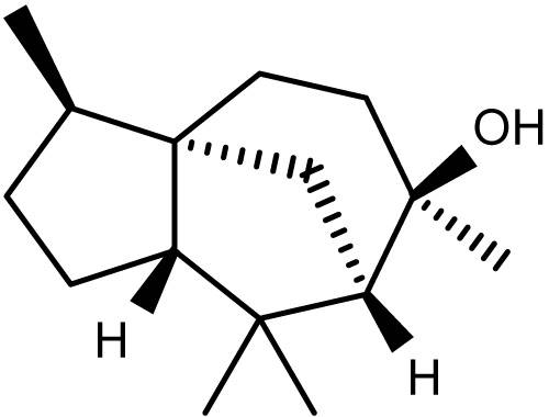 Essential oils: Cedarwood – the science of cedrol – Point of Interest