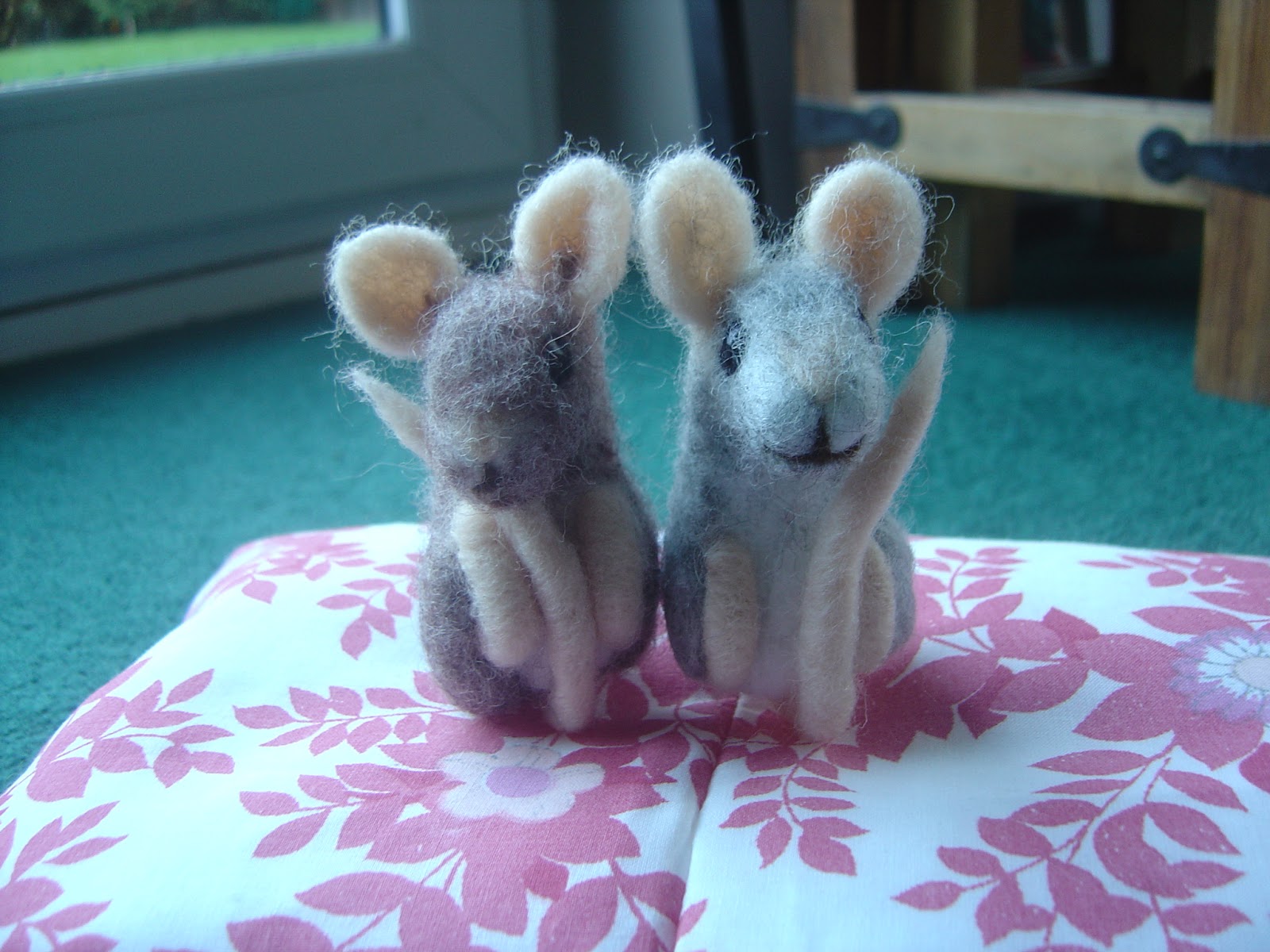 Sam's blog: Sleepy Mice