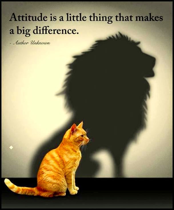 Tetapkan Pendirian Dan Fokus Pada Kekuatan Diri - Relaks Minda