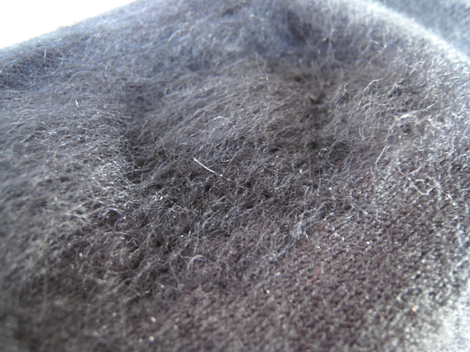 Rhody Life: DIY: Needle Felting