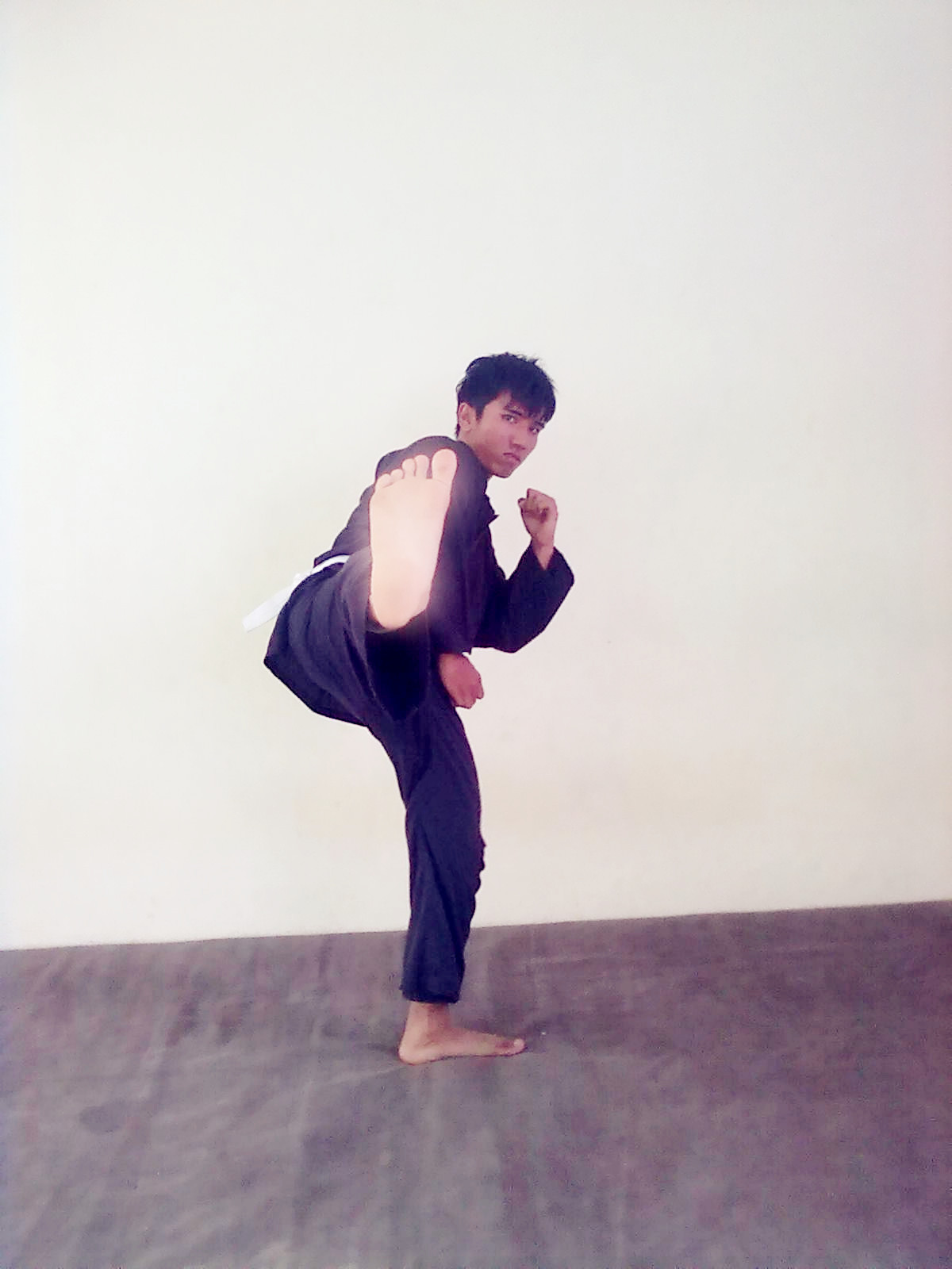 TEKNIK DASAR DALAM PENCAK SILAT: TEKNIK DASAR DALAM PENCAK SILAT