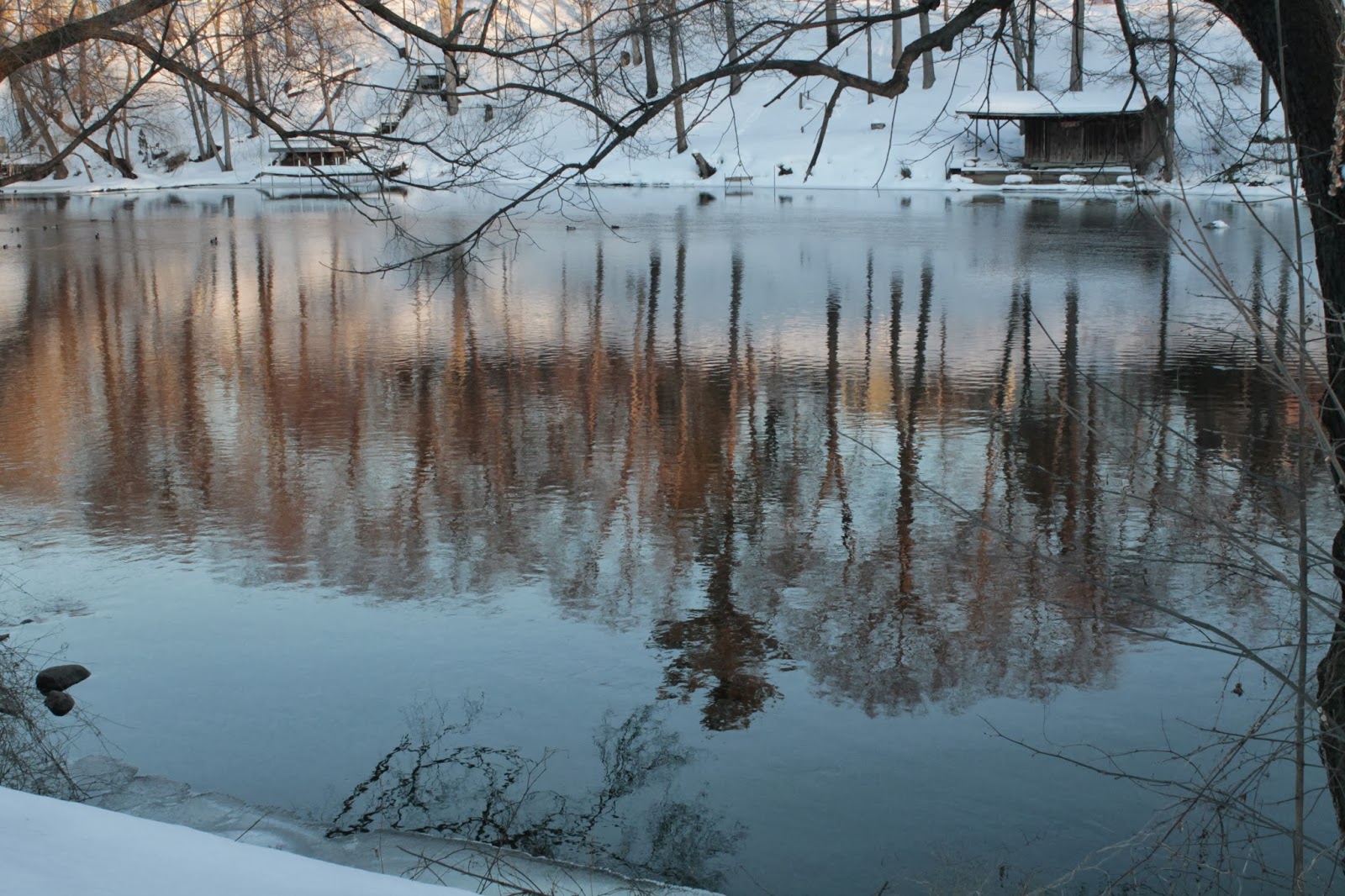 Landscape Design Guru: Garden and Nature Photography