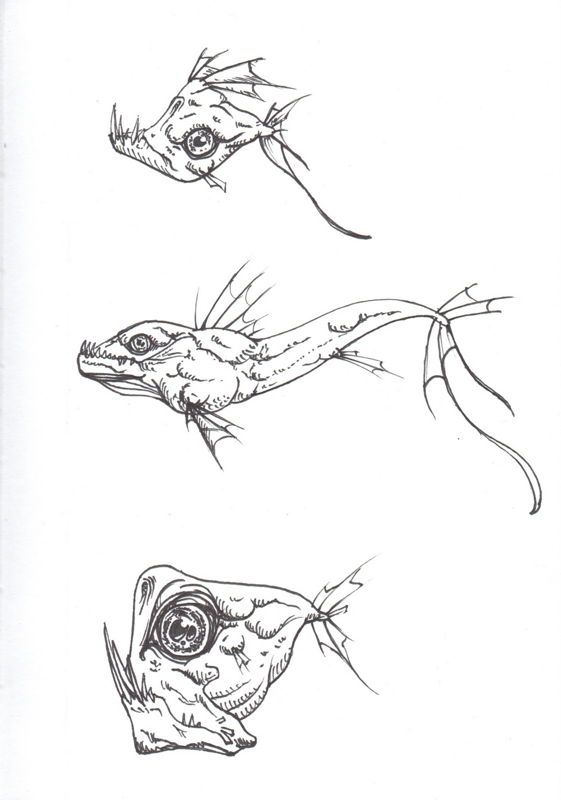 Naut Done Drawing: Fish Eye part 3
