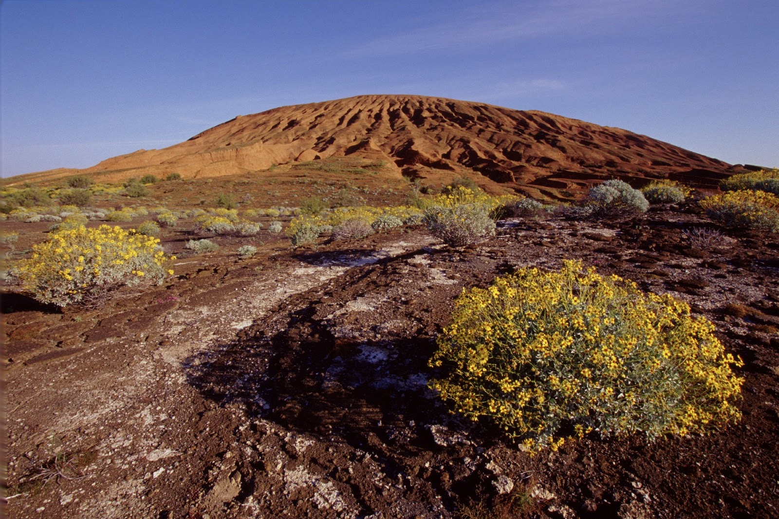 Viajar a Pinacate, un destino mexicano de paisajes que parecen de otro ...
