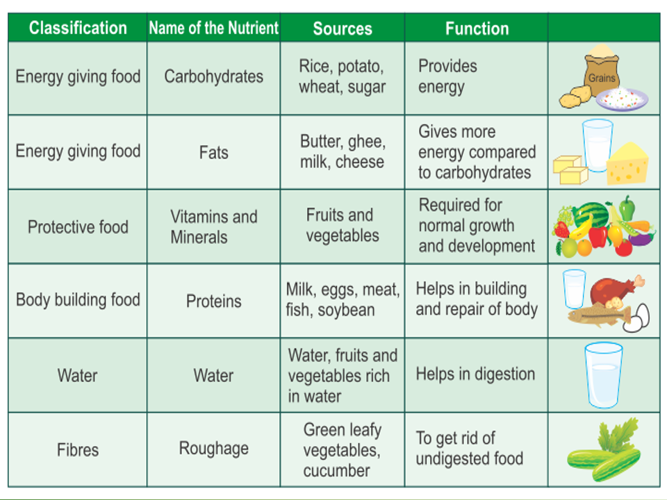 Science8: Semester 1,Chapter 2 - Food and digestion
