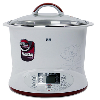 Electric Stew Pot