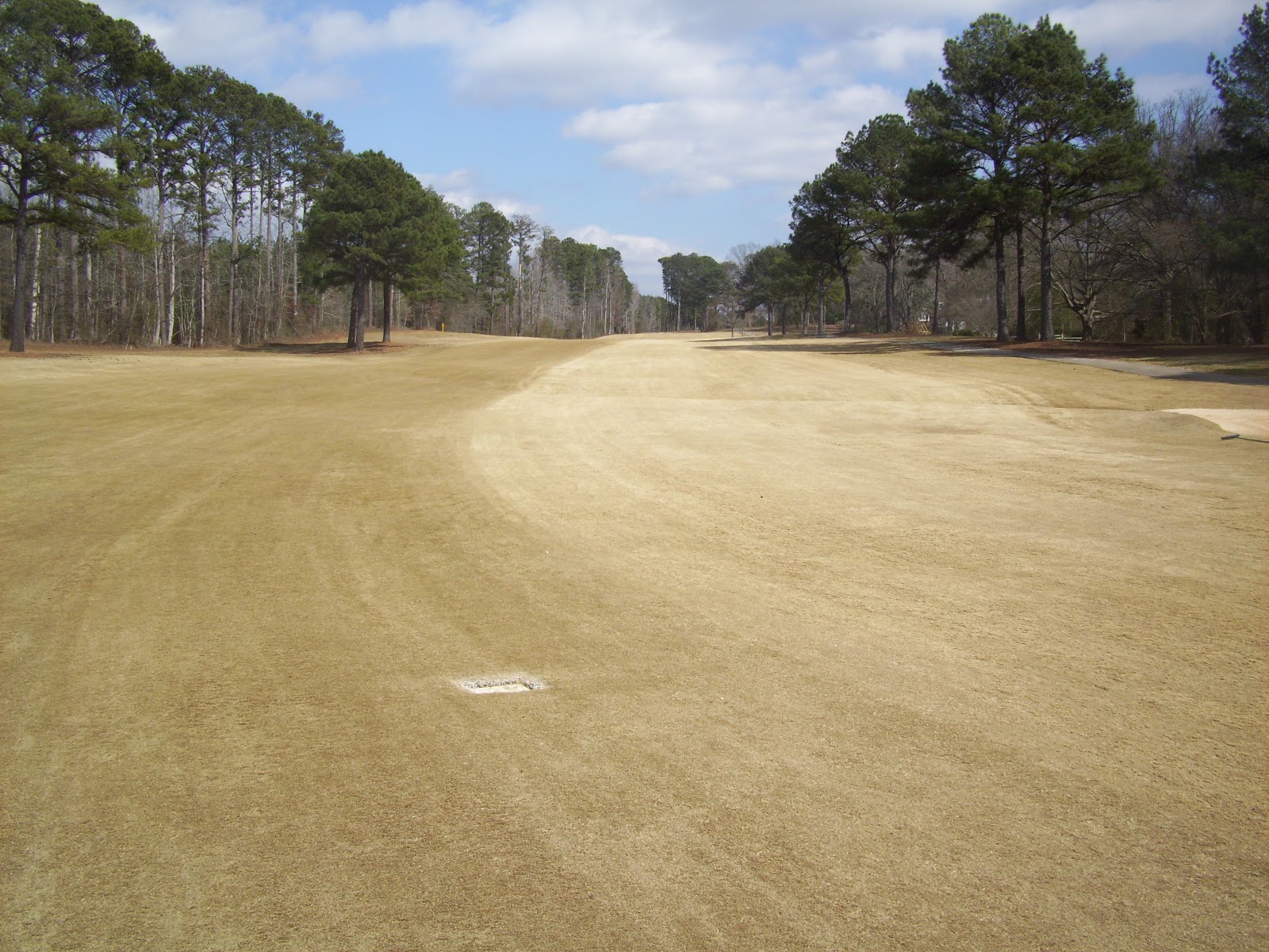Newnan Country Club Golf Course News: February 2013