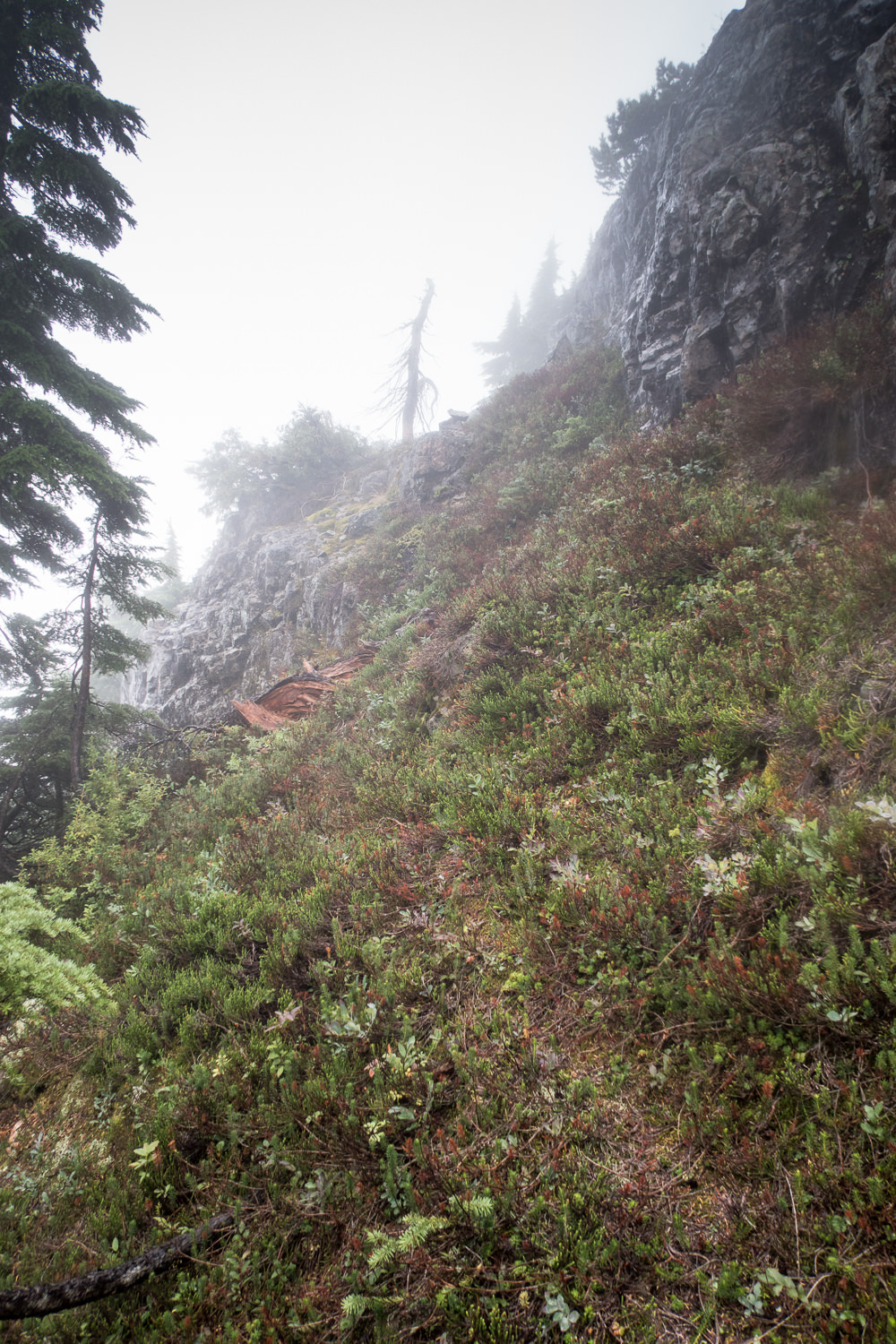 Climbing Mount Kitchener and the High Point on the Ridge - Explorington