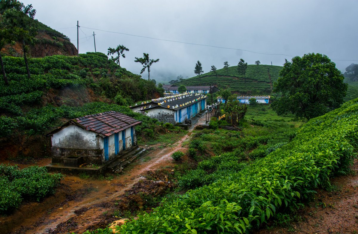 Tamilnadu Tourism: Nalumukku, Manjolai Hills