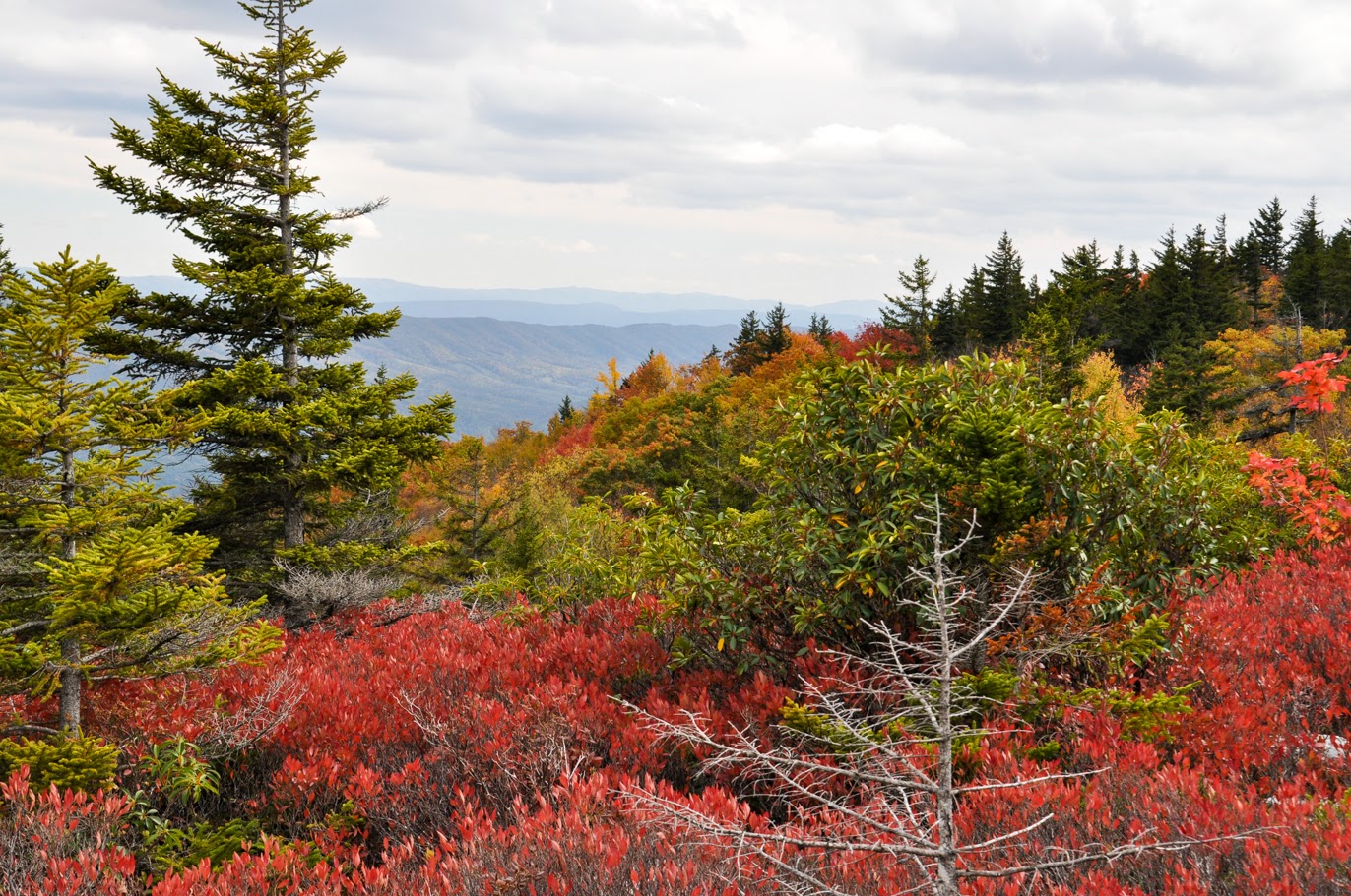 Roaring Plains: Fall Colors and a Little Snow