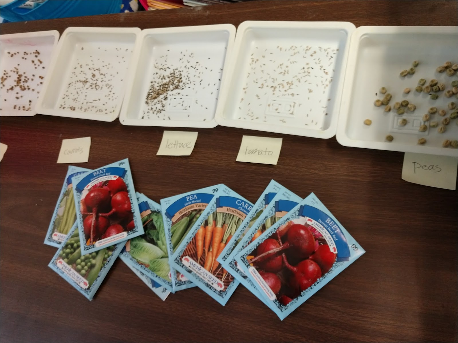 Garden in a Glove: Plant Life Cycle in Kindergarten • The Kinderhearted ...