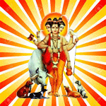 Significance of Anisht Shanti Pooja