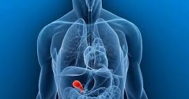 dr Lestari Rahmah, MKT: ANATOMI FISIOLOGI KANDUNG EMPEDU