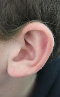 Science: HUMAN EAR