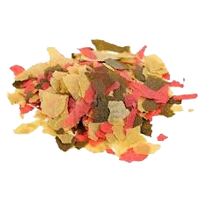 mondo dei rettili: Carassius auratus il pesce rosso