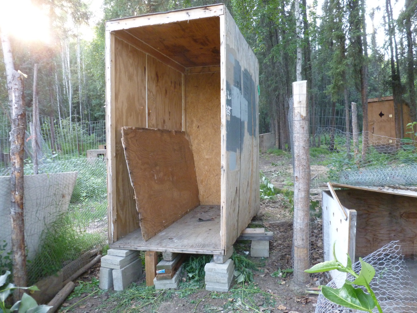 Old School Alaskan: Yesterday's crate, today's hen house