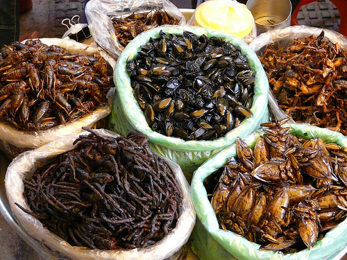 LINGUAGEM GEOGRÁFICA: INSETOS CONTRA A FOME, A RECOMENDAÇÃO DA FAO