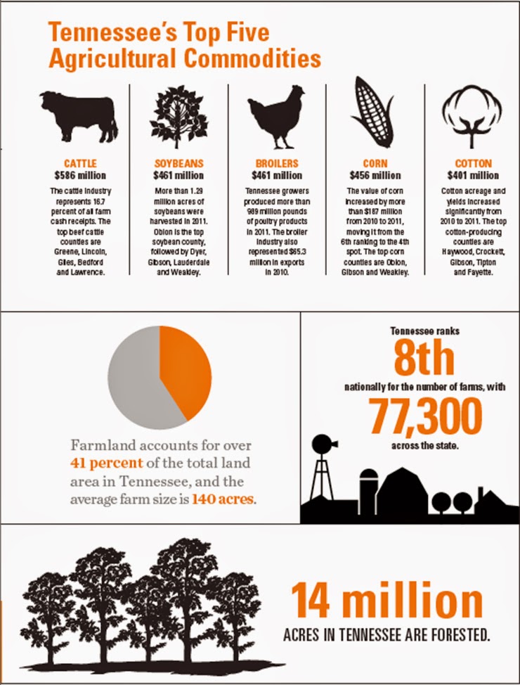 UT Block and Bridle Club: #FarmFactFriday How Important is Agriculture ...
