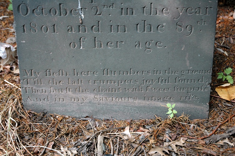 OTIS (Odd Things I've Seen): The New York Grimpendium: Arthur Kill Ship ...