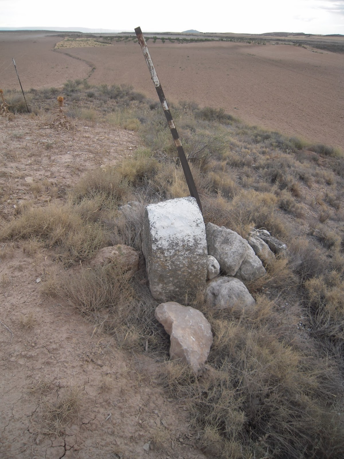 Centro de Estudios Borjanos: Mojones de términos