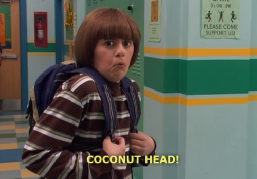 ned's declassified coconut head