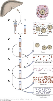 De Histology: Cell Fractionation