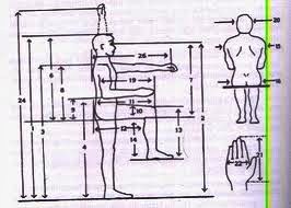 Antropomerti Kedokteran dan Keperawatan