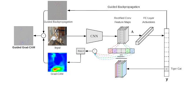 Grad-CAM Implementation in pycaffe
